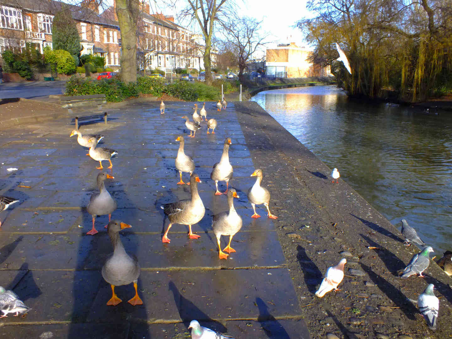 Tang Hall, York Student Area - StuRents