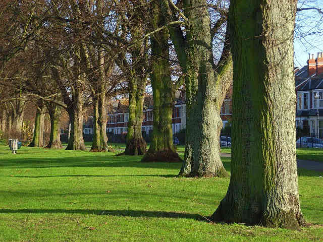 East Reading, Reading Student Area - StuRents
