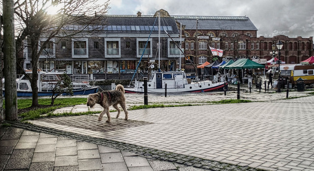 UPP Closes Deal With the University of Exeter | StuRents