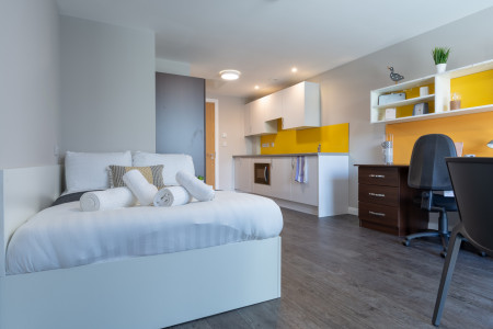 Deluxe Studio student flat to rent on Devon Street, Liverpool, L3 8HA ...