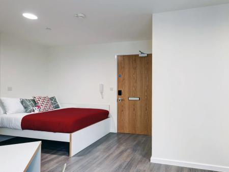 Gold Studio student flat to rent on New Bridewell, Nelson Street ...