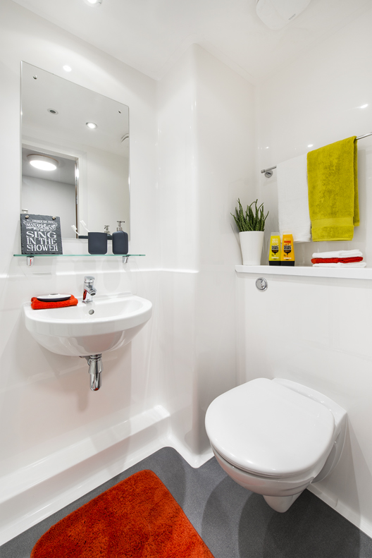Standard En Suite student 6 bed flat to rent on Vere Street, Cardiff ...