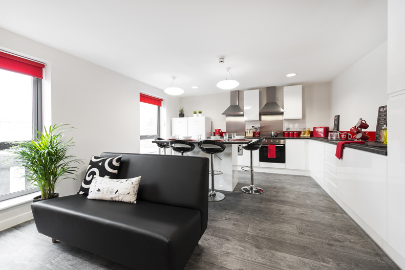 Standard En Suite student 6 bed flat to rent on Vere Street, Cardiff ...
