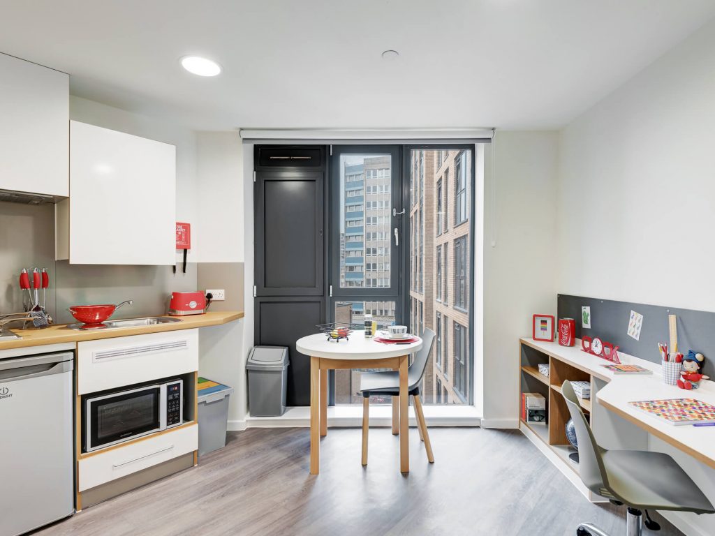 Bronze Studio - EPC Band Rating B-C student flat to rent on Nelson ...