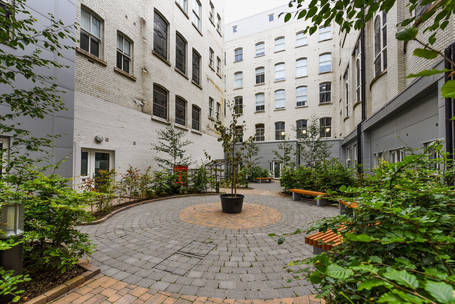Ensuite Bronze Plus student 10 bed flat to rent on College Square East ...