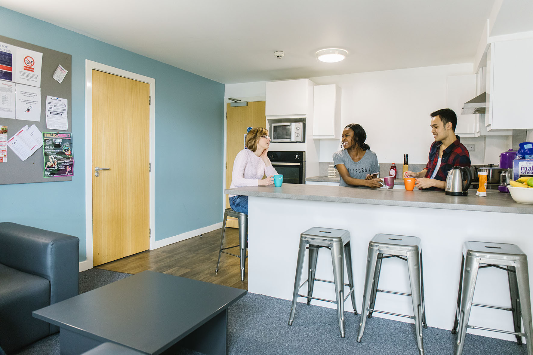 En-Suite I Classic; En-Suite I Classic student 4 bed flat to rent on ...