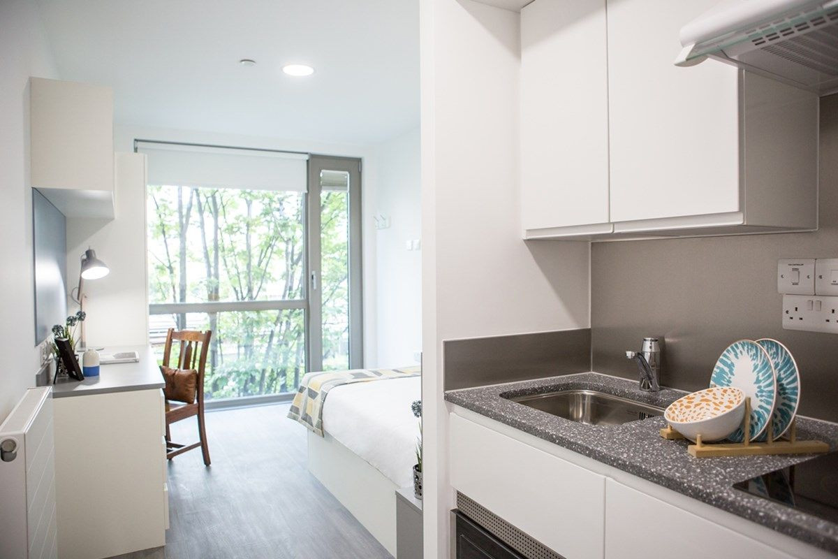 Studio, Bronze Studio Mid Level student flat to rent on 46 Thurston Rd ...