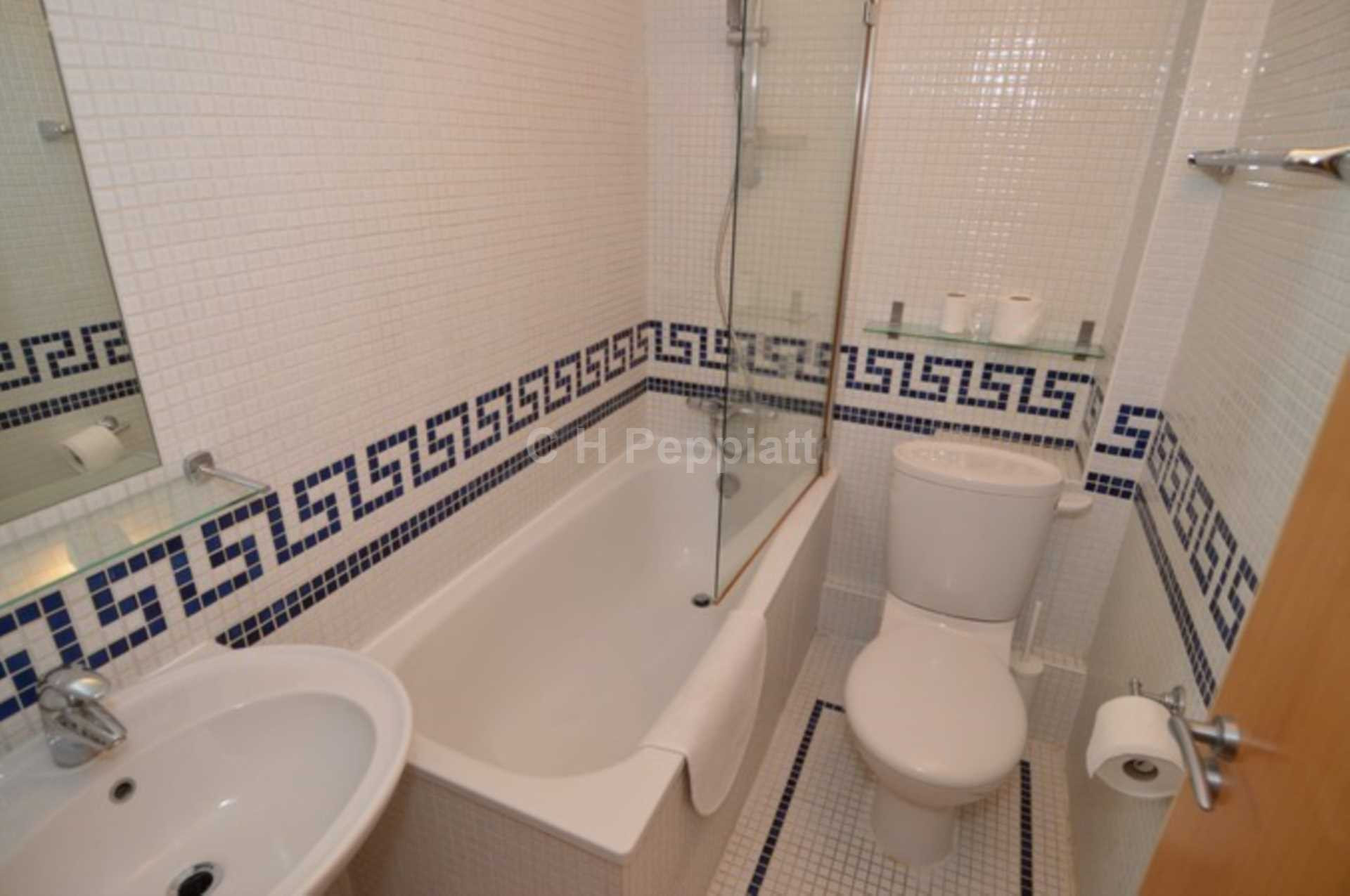 Student studio flat to rent on Hanley Road, London, N4 3DU | StuRents