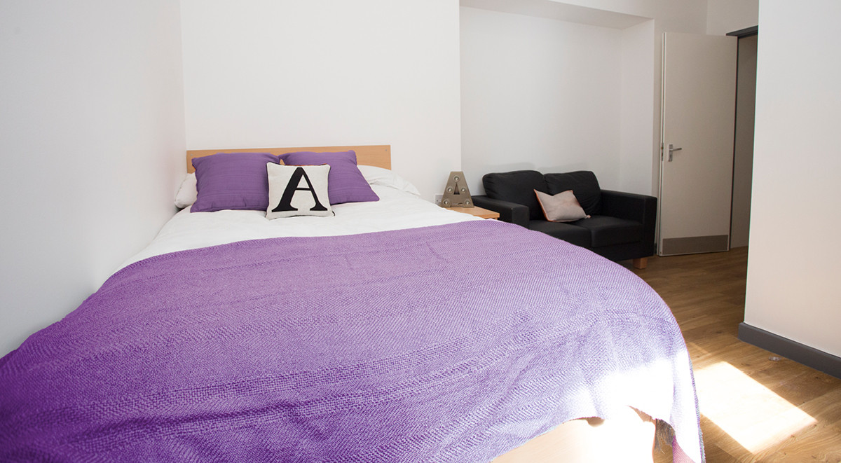 Platinum Apartment student 1 bed flat to rent on Victoria Terrace ...