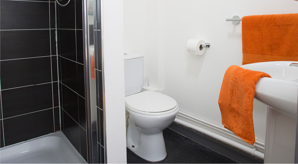 Platinum Apartment student 1 bed flat to rent on Victoria Terrace ...