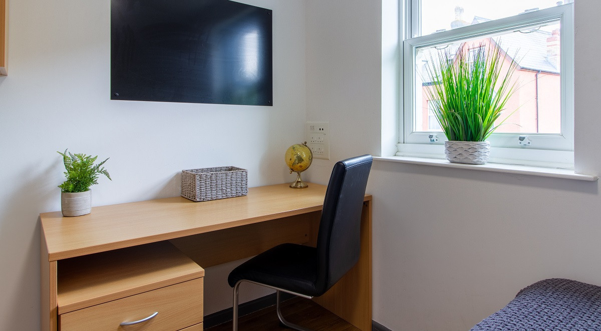 Silver Ensuite student 1 bed flat to rent on Victoria Terrace ...