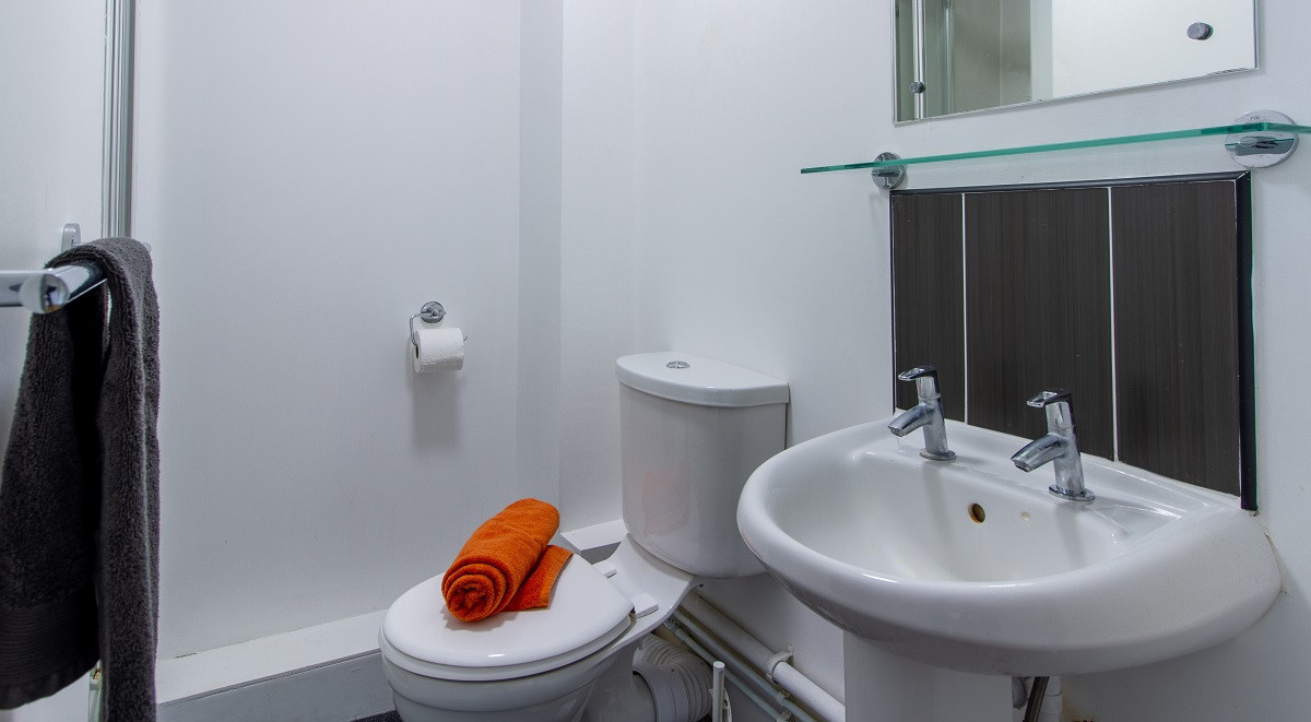 Silver Ensuite student 1 bed flat to rent on Victoria Terrace ...