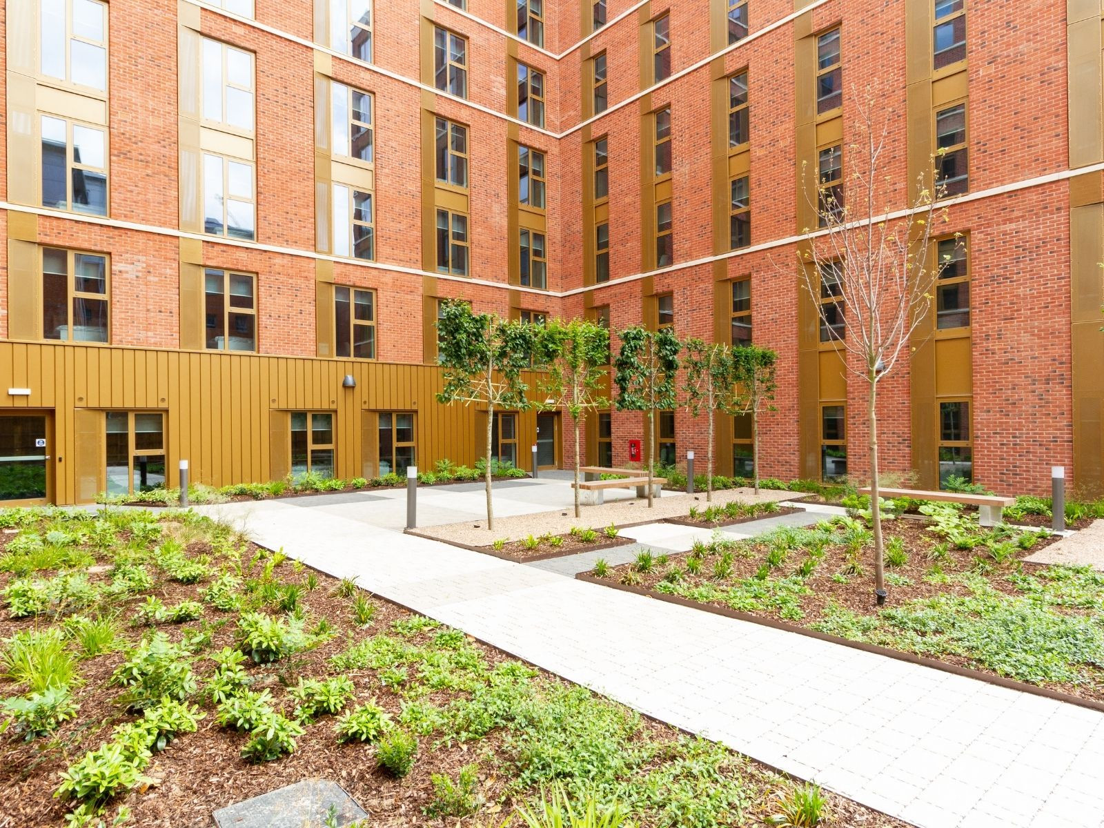 Bronze En Suite - EPC Rating B student 5 bed flat to rent on Gulson Road, Coventry, CV1 2HS ...