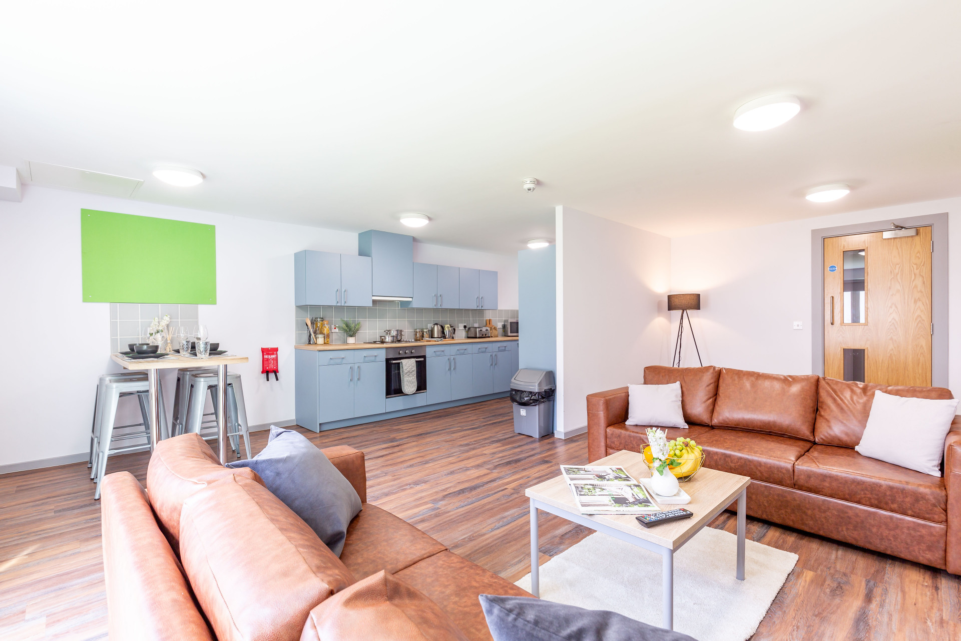 Standard Plus En-suite student 7 bed flat to rent on Portland Road ...