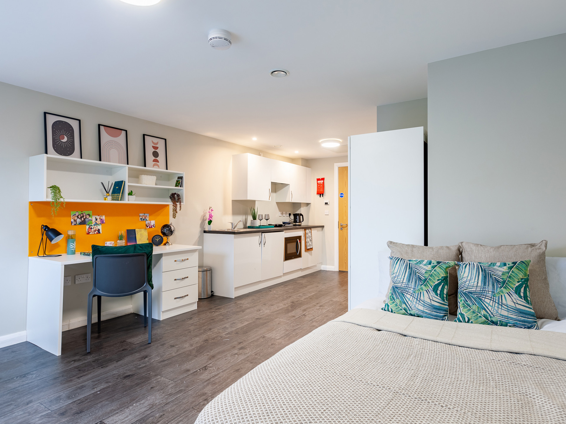 Premier Studio student flat to rent on Devon Street, Liverpool, L3 8HA ...