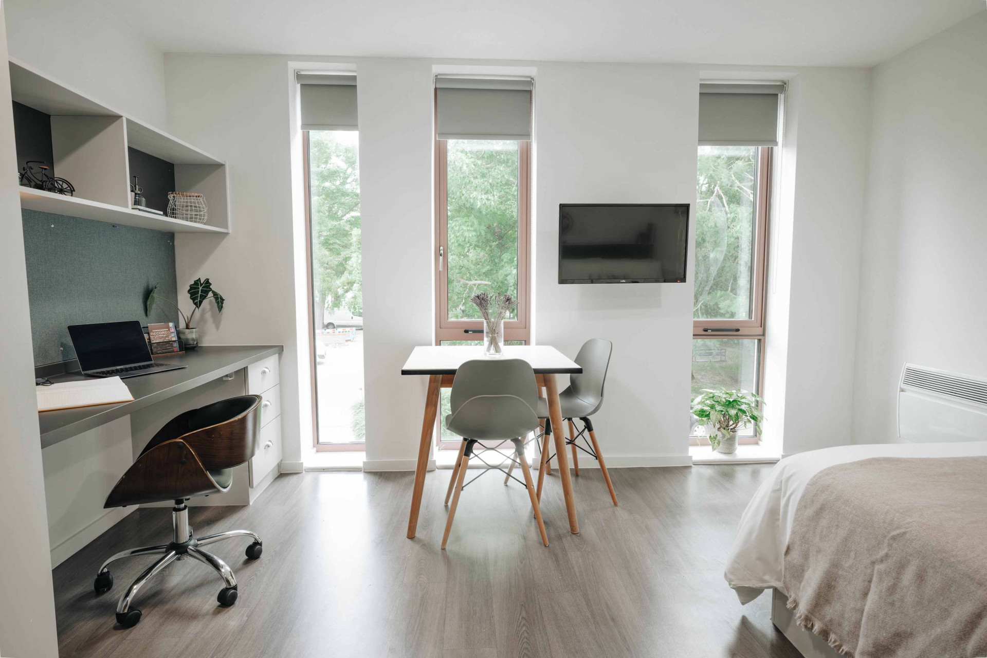 CCCU & UCA Accommodation - Alma Court | Now