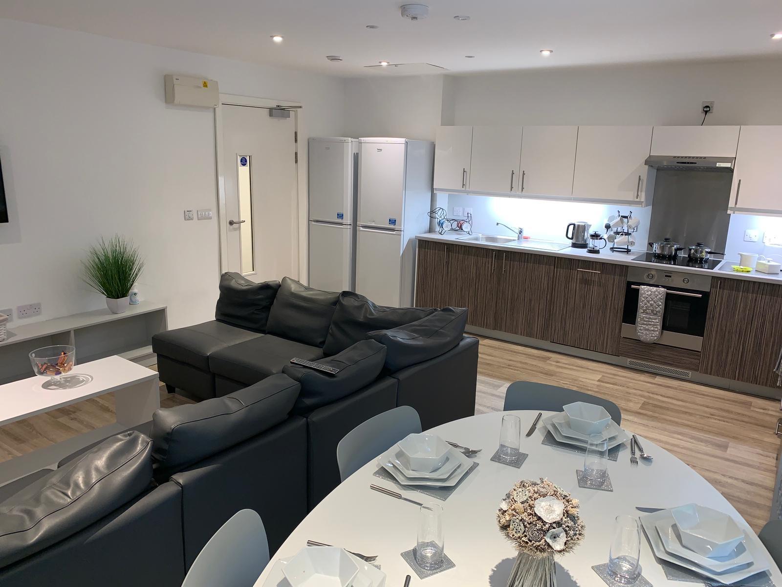 Ensuite Silver student 8 bed flat to rent on Blandford Square ...
