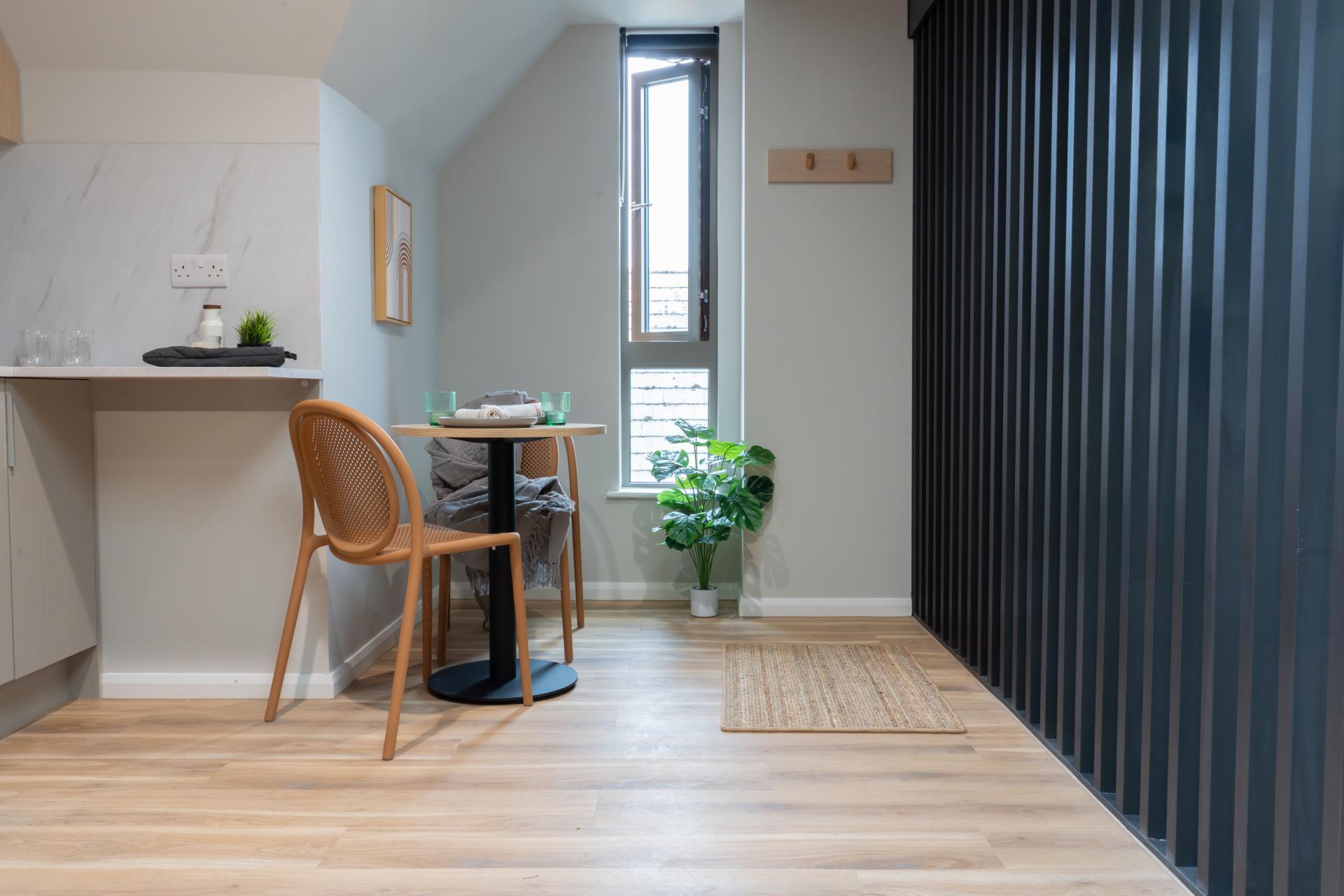 Ultimate Studio, Top Floor student flat to rent on Blue Bridge Lane ...