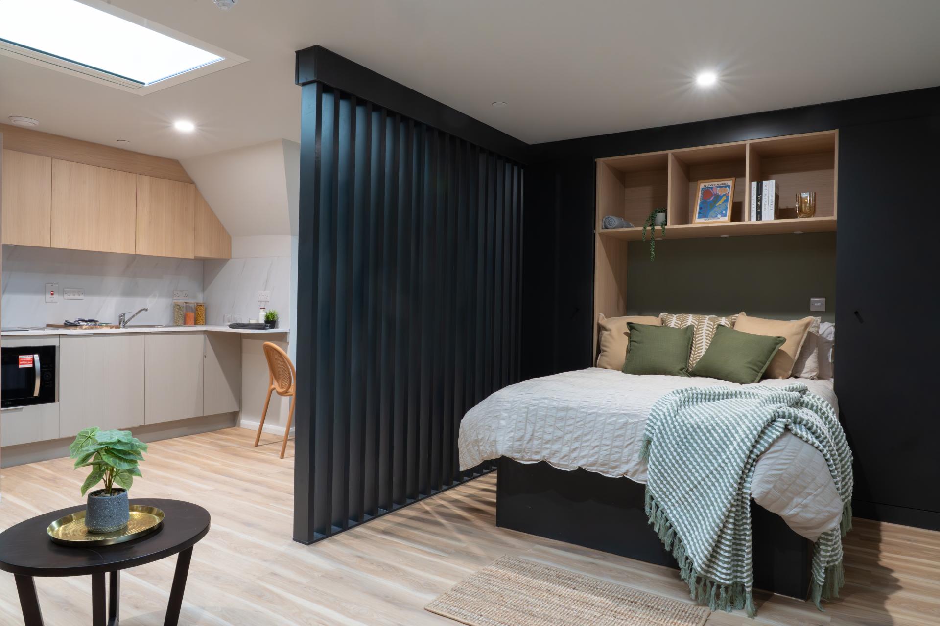 Ultimate Studio, Top Floor student flat to rent on Blue Bridge Lane ...