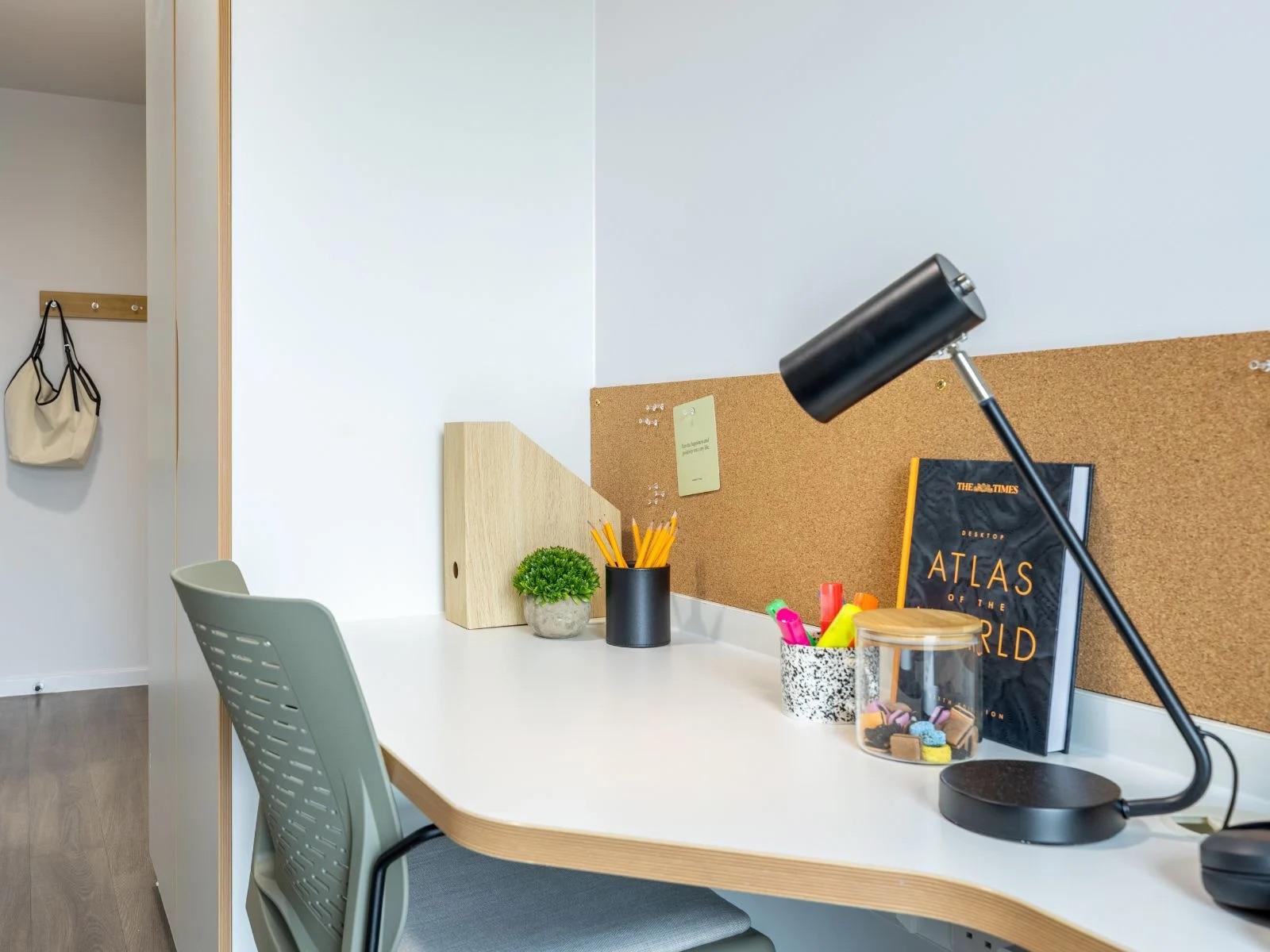 Bronze Studio student flat to rent on New Bridewell, Nelson Street ...