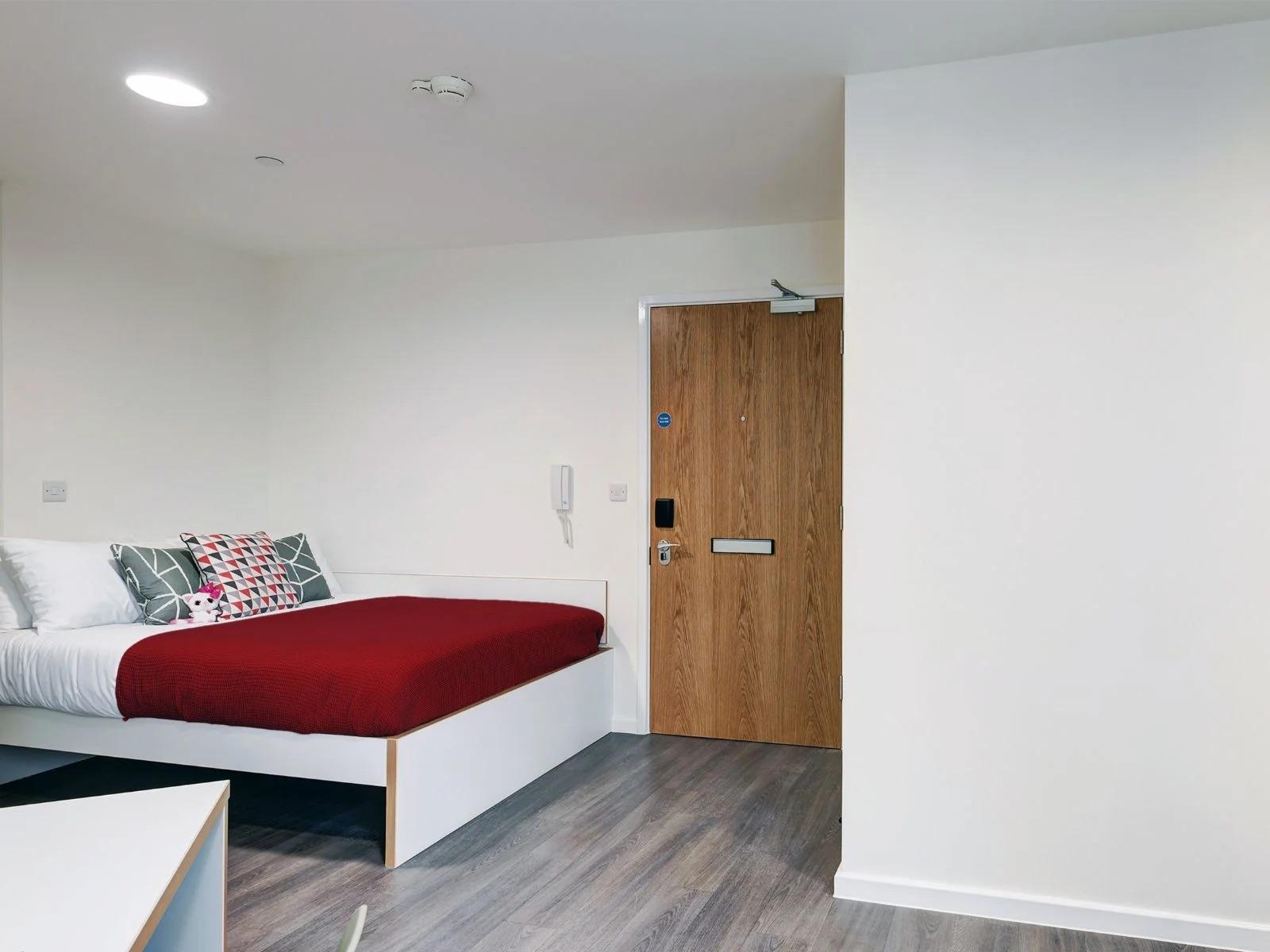 Gold Studio student flat to rent on New Bridewell, Nelson Street ...